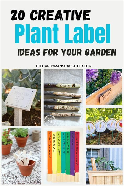 20 Creative Diy Plant Labels For Your Garden The Handymans Daughter