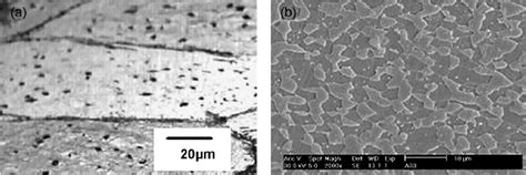 Optical Micrograph And Sem Image Or The Specimen Microstructure A
