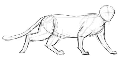 How To Draw A Cat Creative Bloq