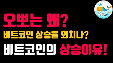 2부 비트코인 반감기의 효과 언제 나올까 오뽀가디언 비트코인tv 비트코인 도지 실시간 Youtube