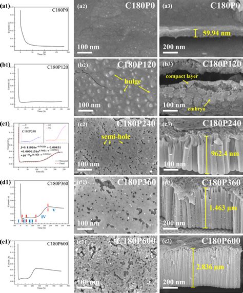 Anodic Tio2 Nanotubes First Anodized In Ethylene Glycol Eg Containing Download Scientific