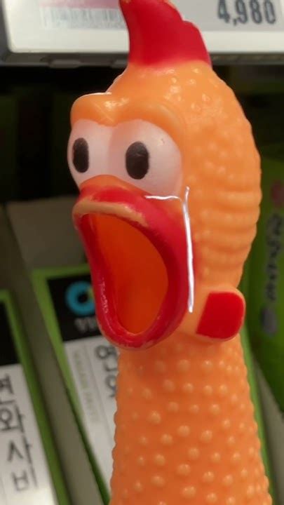 울며 겨자 먹기 Youtube