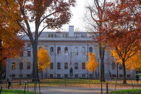 Reflect Function Rcs50