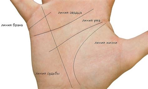 Линия судьбы на руке значение и расшифровка