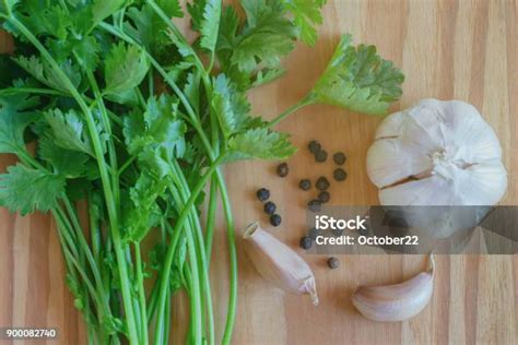 녹색은 고 수 또는 실 란 트로 마늘과 후추 나무 테이블에에서 넣어 상위 뷰 평면 복사 공간을 놓으십시오 음식 준비는 신선한 야채와 향신료에 대 한 개념 건강한 생활방식에