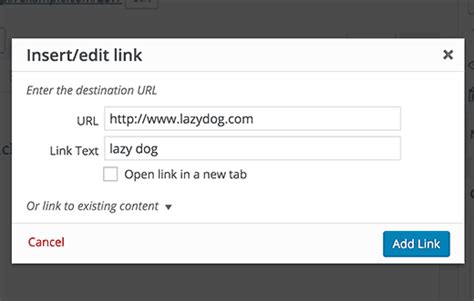 Beginners Guide On How To Add A Link In Wordpress
