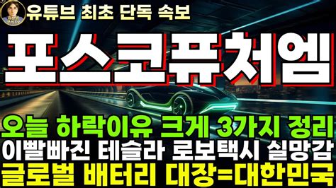 포스코퓨처엠 주가전망 단독 오늘 하락이유 크게 3가지 정리 이빨빠진 테슬라 로보택시 전기차 화재 프랑스 4명 사망