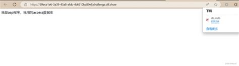 Ctfshow Web入门 信息搜集（web11 Web20） 优速盾