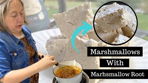 Easy Homemade Marshmallows With Marshmallow Root A Step By Step Guide