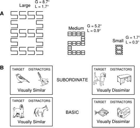 Examples Of The Stimuli Used In The Divided Attention Task And The