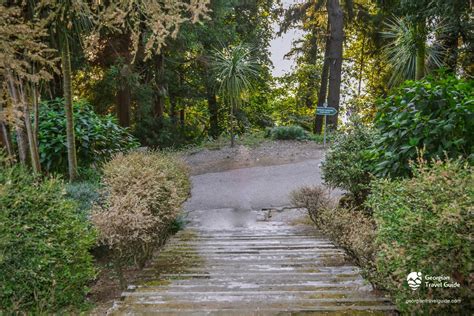 Batumi Botanical Garden Georgian Travel Guide
