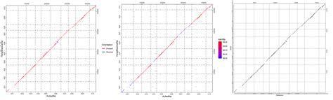 R绘图 Mummer比对可视化 请叫我老王