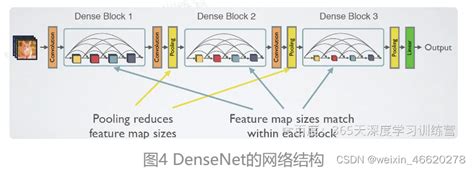 第13周：densenet算法实战与解析 densenet的输入预处理 csdn博客