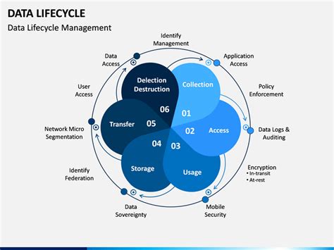 Data Lifecycle PowerPoint And Google Slides Template PPT Slides