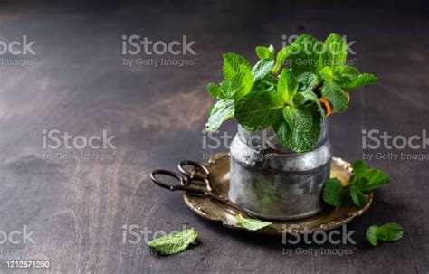 민트 잎 오래된 어두운 배경에 오래된 소박한 양동이 꽃병에 민트의 신선한 꽃다발 0명에 대한 스톡 사진 및 기타 이미지 0명