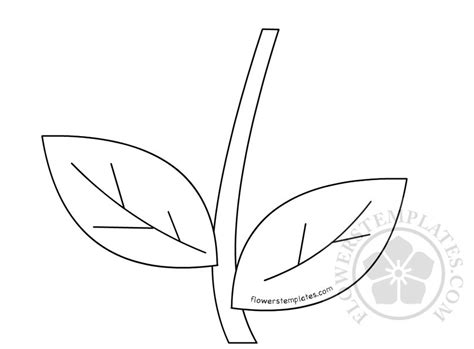 Flower Stem Outline Template Best Flower Site