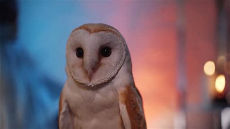 РОЖДЕСТВО Обращение Альбуса Дамблдора к ученикам Школы Чародейства и Волшебства ХОГВАРТС Youtube