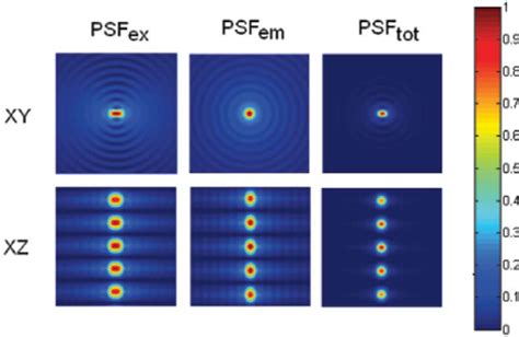 3d Excitation Detection And Total Psf Xy And Xz Planes Are Shown