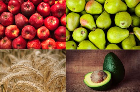 Cushings Syndrome Diet What Can I Eat To Reduce