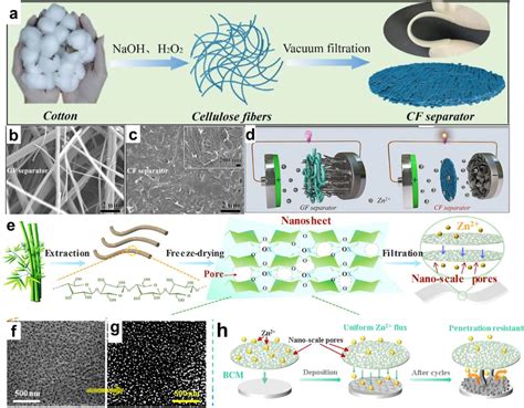 A Schematic Illustration Of The Synthesis Process SEM Images Of The B Download Scientific
