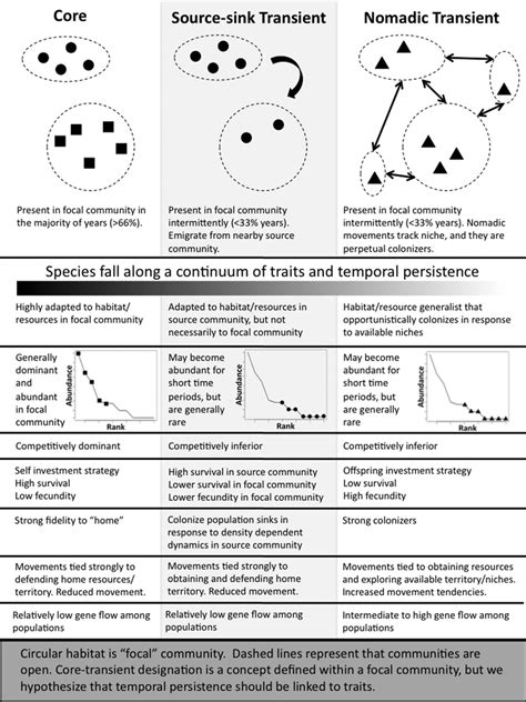 Hypothesized Relationships Between Core Transient Status And Life Download Scientific Diagram