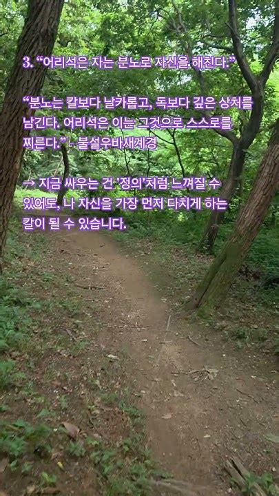 3 어리석은 자는 분노로 자신을 해친다” 붓다의가르침 자기수행 부처님말씀 좋은글 마음의소리로쓰는글 인생조언 자기계발 마음공부 Youtube