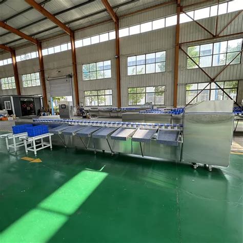 Onion Sorting Machine Potato Sorting Machine Orange Apple Sorting