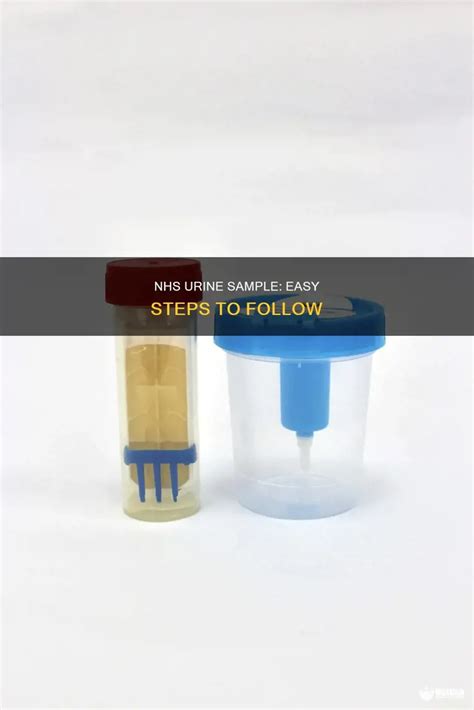 Nhs Urine Sample Easy Steps To Follow Medshun