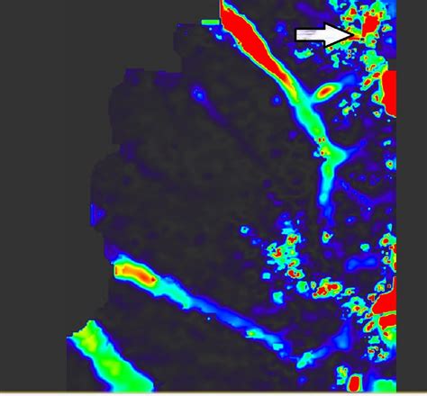 Question Regarding Offset Tracking Method S1tbx Step Forum