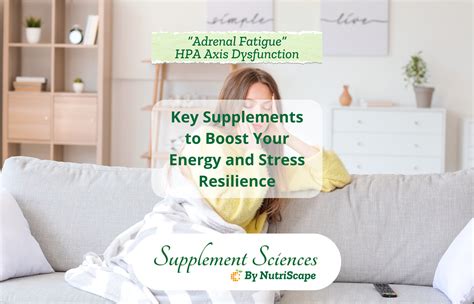 Adrenal Fatigue Hpa Axis Dysfunction Key Supplements To Boost Your Energy And Stress Resilience