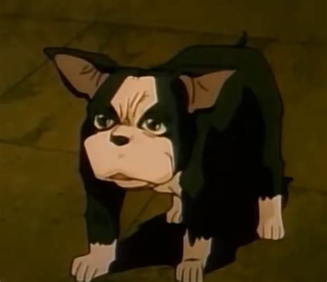 Sex R AnimeSexuals4Life