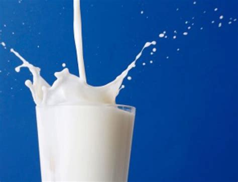 Кедровые орехи польза и вред для здоровья человека