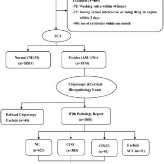 Flow Chart Of Participant Screening In The Study TCT Thinprep Download Scientific Diagram