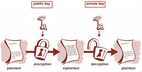 tokenization vs encryption learn differences between both experts