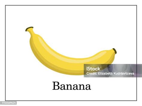 키위 라임 사과 아보카도 망고 레몬 배 마르 멜로 오렌지 감 살구 전체 및 반으로 자른 큰 과일 세트 0명에 대한 스톡 벡터 아트 및 기타 이미지 Istock