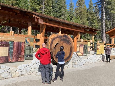 Hiking The Mariposa Grove Trail To Wawona Point Yosemite National Park