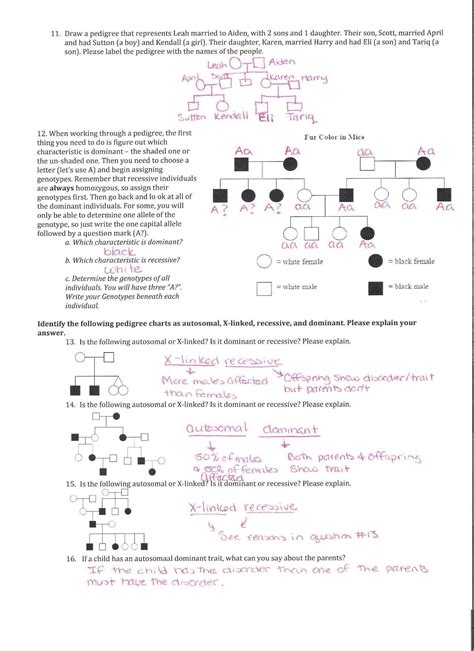 Video Worksheet Mutations Science Of Survival Biology Answers Scienceworksheets Net