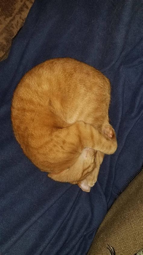Full Tuck Scrolller