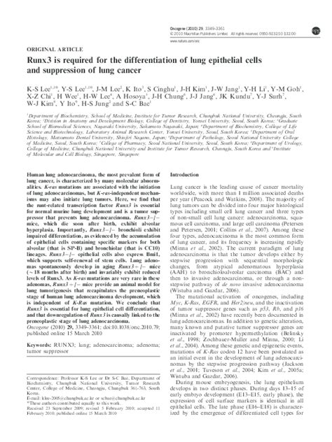 Pdf Runx3 Is Required For The Differentiation Of Lung Epithelial Cells And Suppression Of Lung