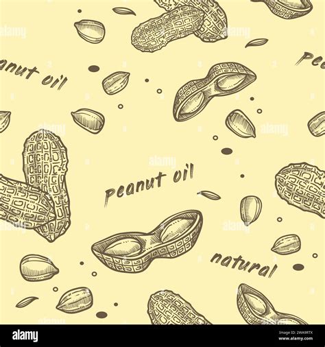 Peanut Oil Natural Nut In Shell Seamless Pattern Stock Vector Image