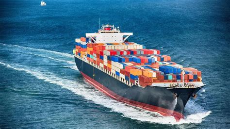 Pest Proofing Sea Going Containers The Hindubusinessline