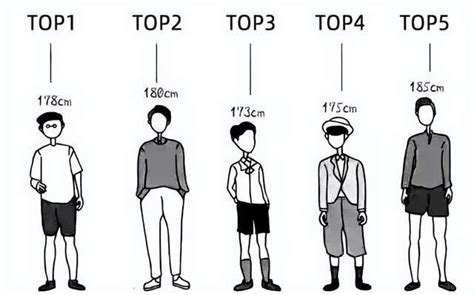 最受欢迎男女身高对照表 知乎