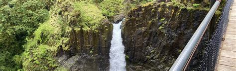North Loop And Drift Creek Falls 1378 Loop Oregon 546 Reviews Map