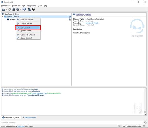 Installing A Teamspeak Server In Windows Server Transip