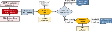 The Protein Prediction Method Based On Editing Simulation Download Scientific Diagram