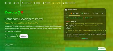 How To Get Your Mpesa Consumer Secret And Passkeys For Api Integration