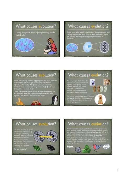 What Causes Evolution Ks2 Science Teachit
