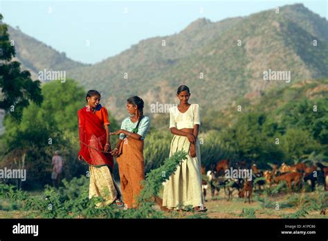 A Group Of Indian Girls On The Country Side In Rajasthan In India Stock