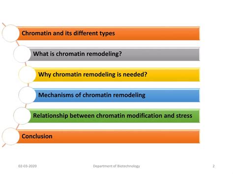 Chromatin Remodeling And Plant Stress Ppt