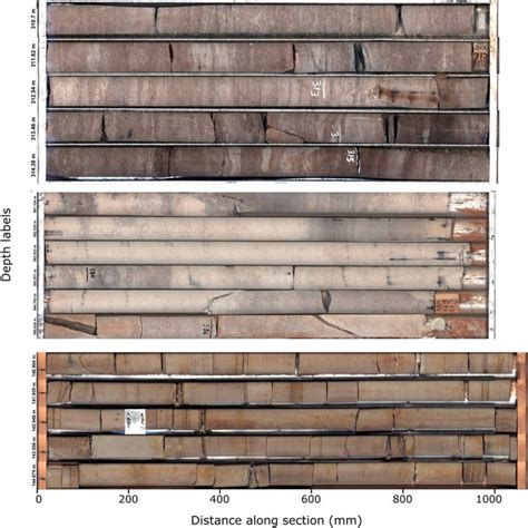 Typical Core Tray Images Having Different Numbers Of Core Rows And Download Scientific Diagram